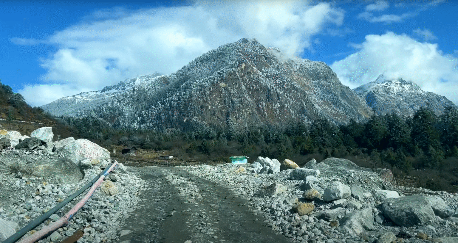 Sikkim Wildlife Conservation — An in-depth, research-driven review ...